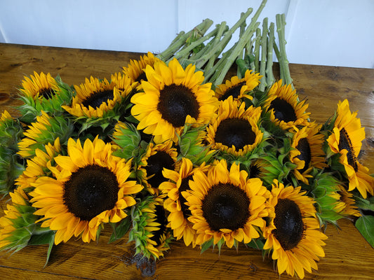 Products – Terra Farms