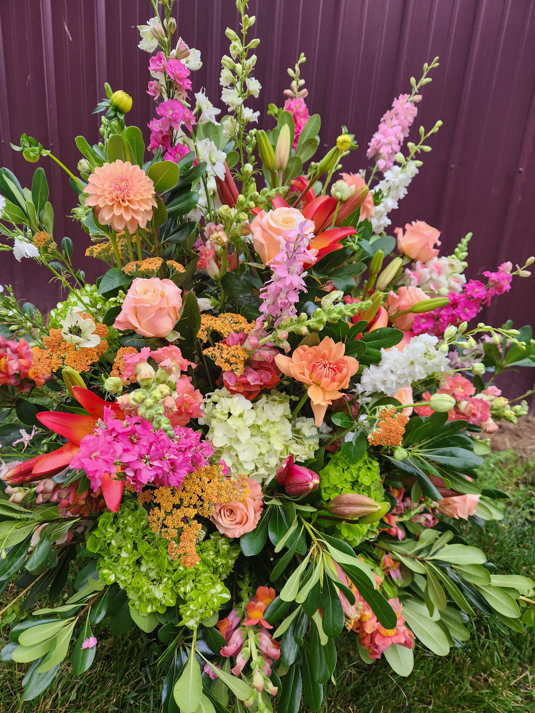 Products – Terra Farms