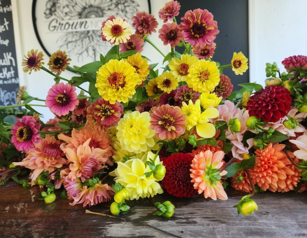 Shop – Terra Farms