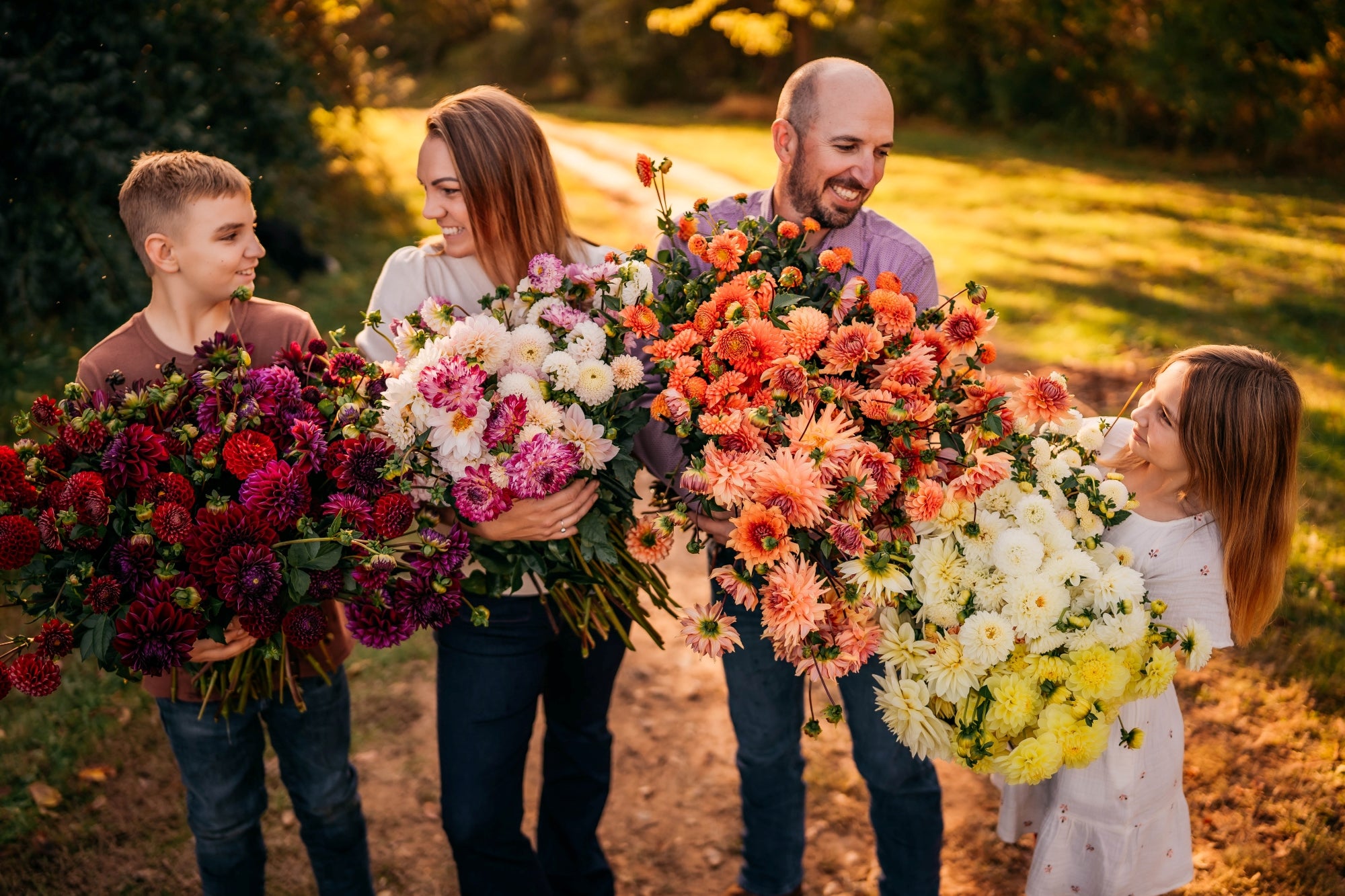 Shop – Terra Farms