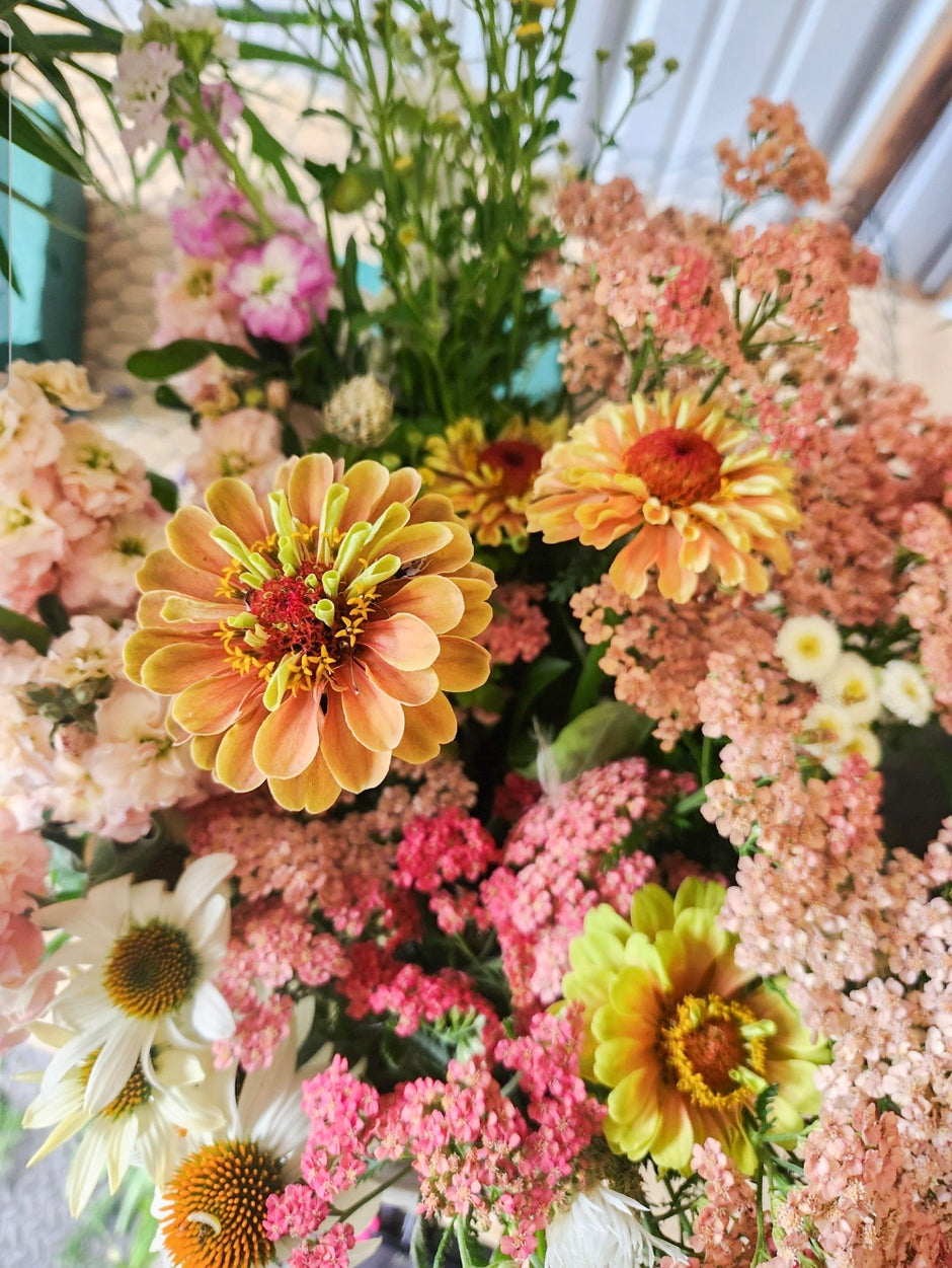 Shop – Terra Farms